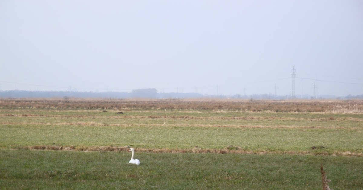 Via Baltica: Holler Land