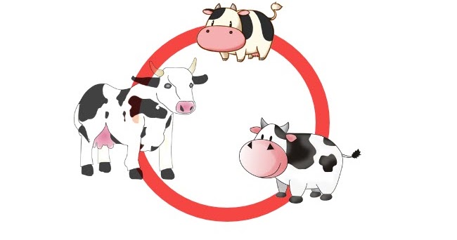 21+ Gambar Daur Hidup Hewan Sapi, Gambar Baru