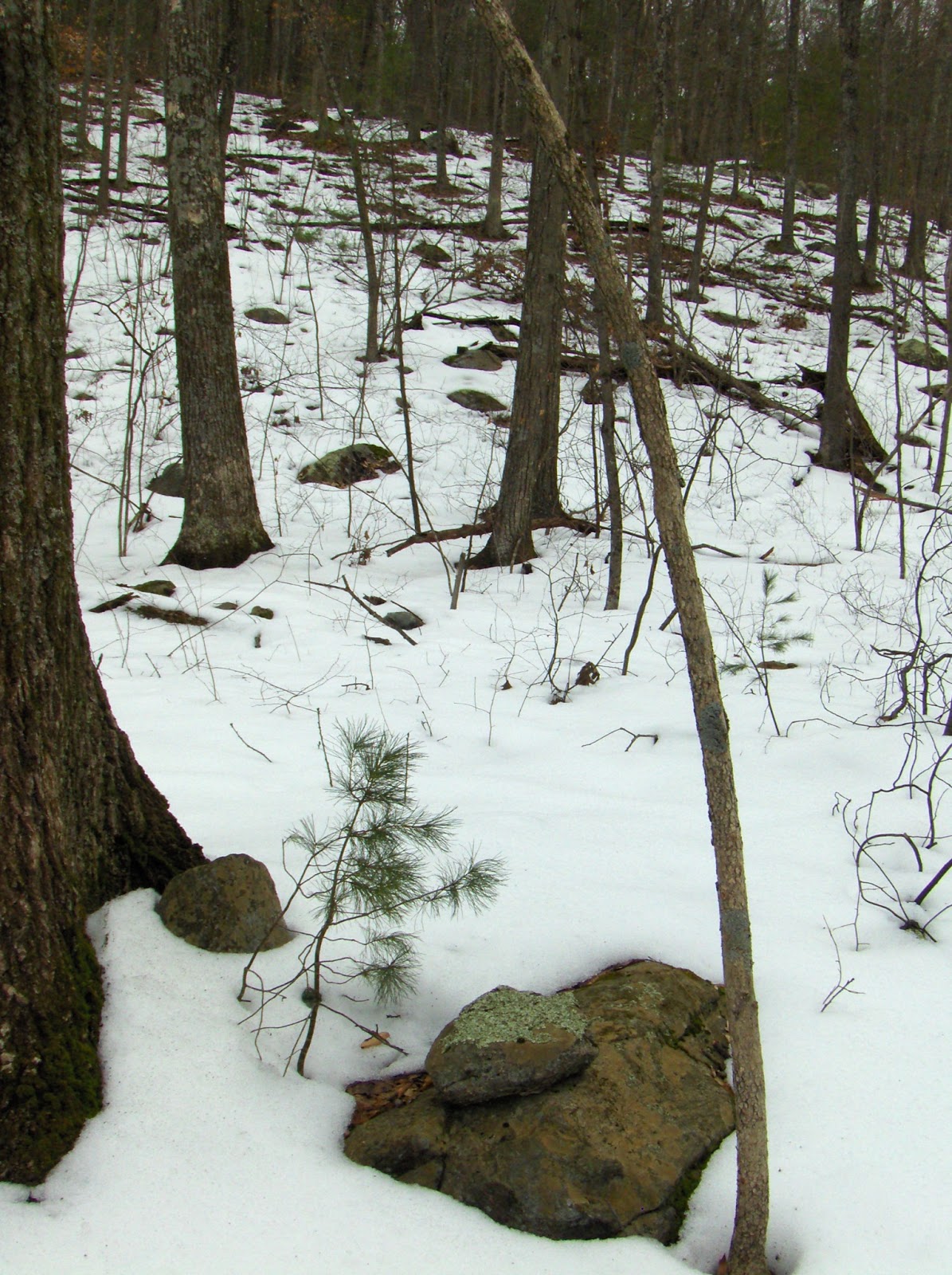 Rock Piles: Diagonal line of rock-on-rocks going up a hillside ...