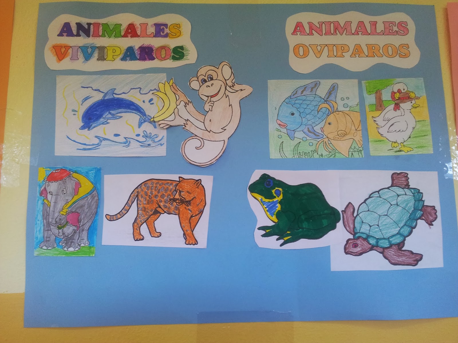 Blog de Tercero - CEIP Andalucía (Guillena): Murales sobre los animales ...