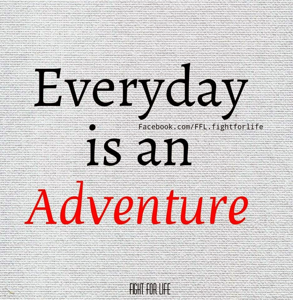 EVERYDAY IS AN ADVENTURE - Quotes