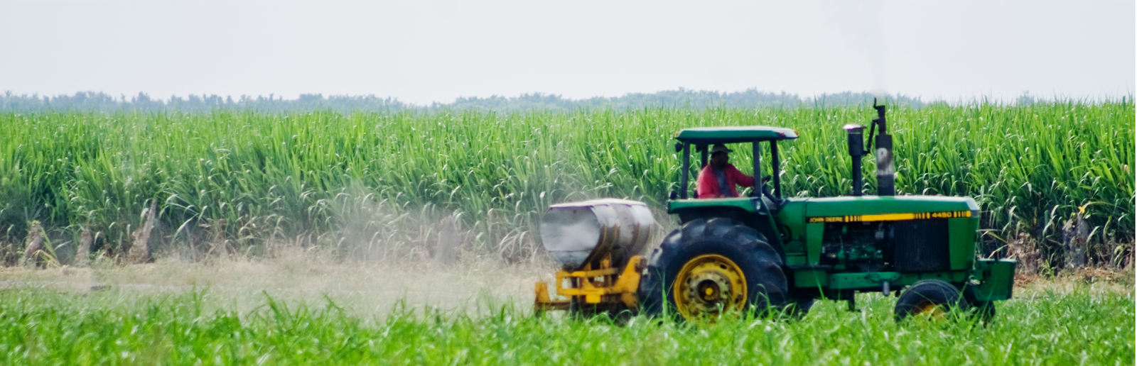 AGRO INDUSTRIA COLOMBIANA