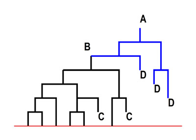 Synapsida: The First Placental Mammals