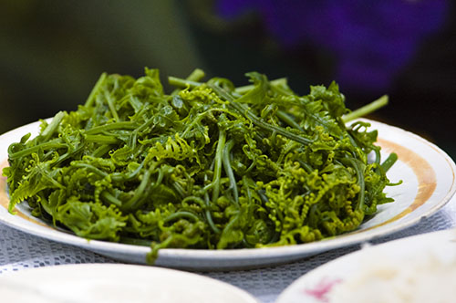 Capiz Delicacies: Pako (Fern) Salad