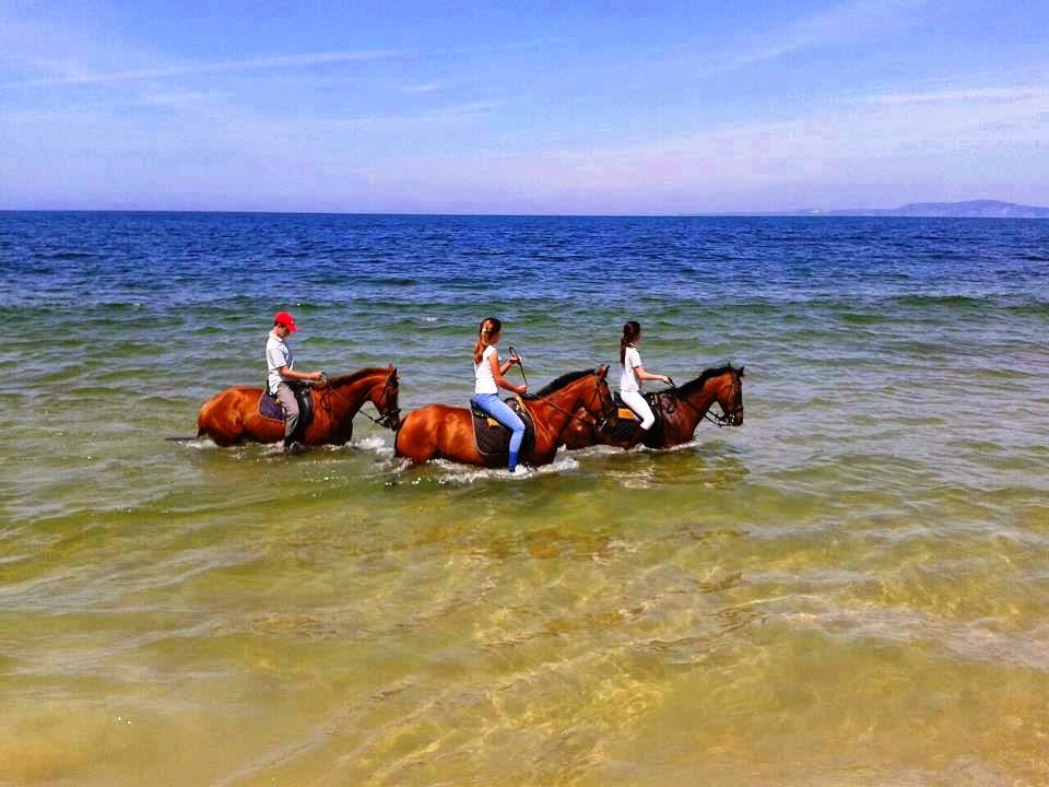 abc Travel: HORSES RIDING IN THE SAND TOUR