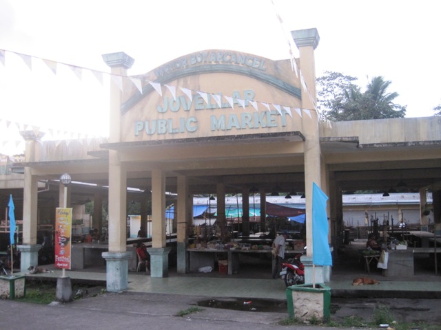 philippine provinces, cities and municipalities: Jovellar, Albay