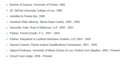 Independence of Representation in Court and Judicial Accountability in ...