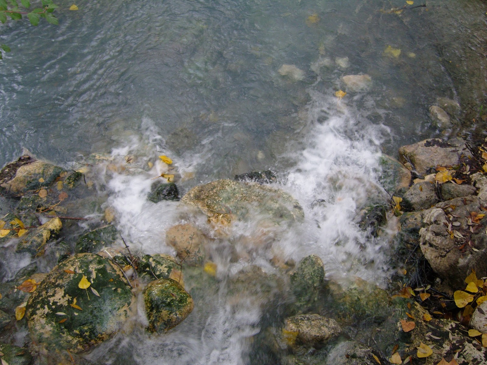 Weather and Nature: Le acque turchesi delle sorgenti sulfuree del Lavino