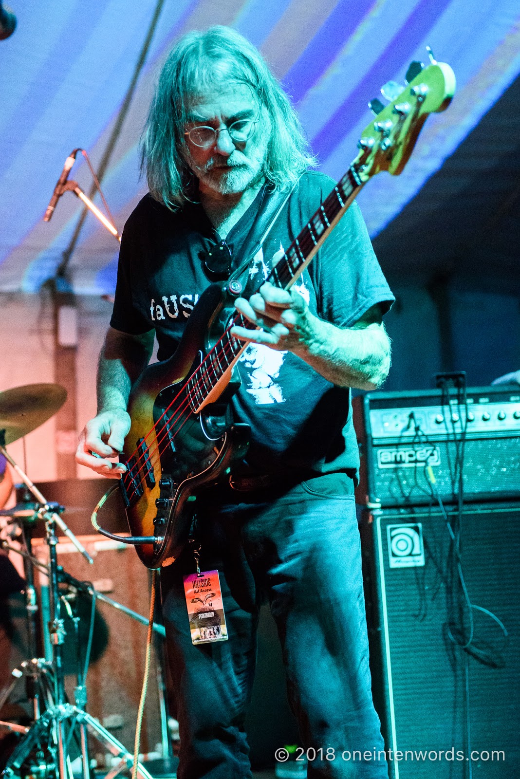 one in ten words: Hillside 2018: Day 2: faUSt - Concert Photos