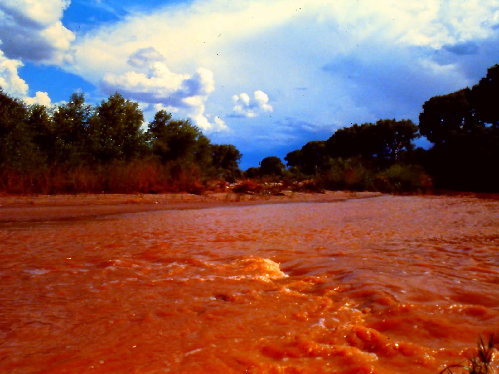 Red Fronteriza de Salud y Ambiente: Cananea Mine discharging wastes ...
