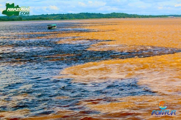 DISCOVER THE BRAZIL: Amazon: Meeting of the Waters