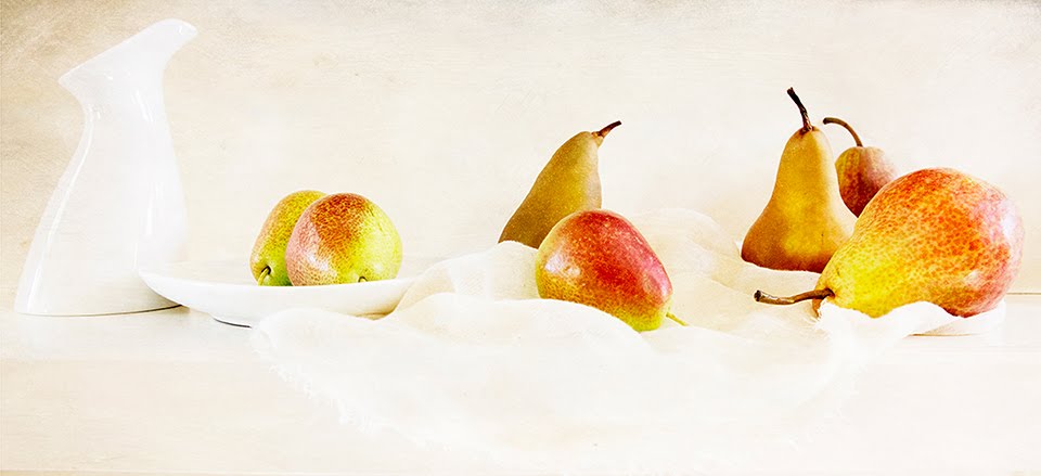 Cafe Lynnylu: Fall Still Life Images in Monochrome-Black and White ...