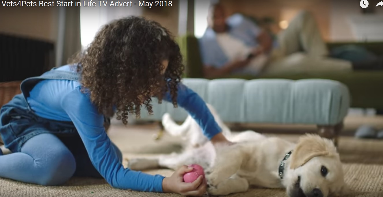 Narrative Code: Vets4Pets: Best Start in Life. TV Advert (2018)