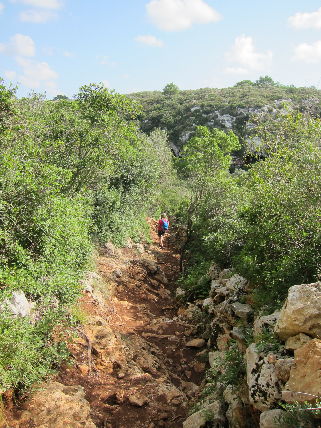 Camí de Cavalls i altres rutes.: Circular Calan Porter - Cales Coves ...