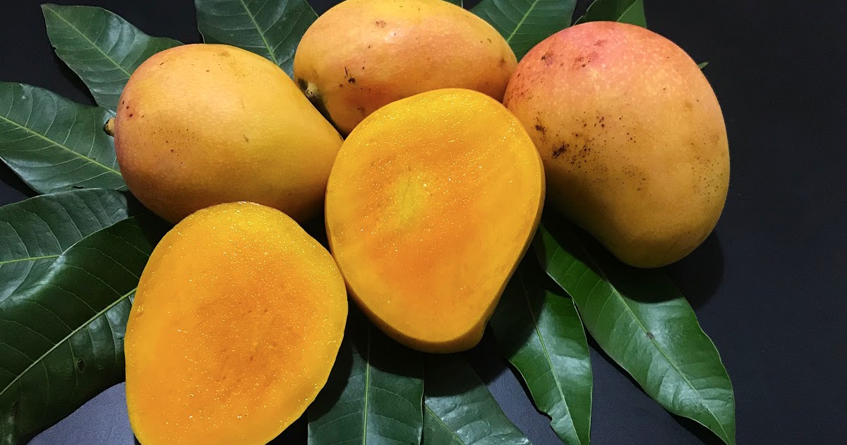 Viveiro Ciprest - Plantas Nativas e Exóticas: Manga Rosa da Bahia ...