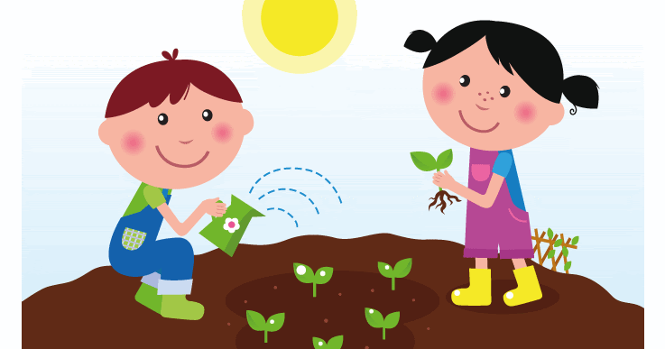 El Nido de Darío: Mi Huerto Ecológico y una recomendación!