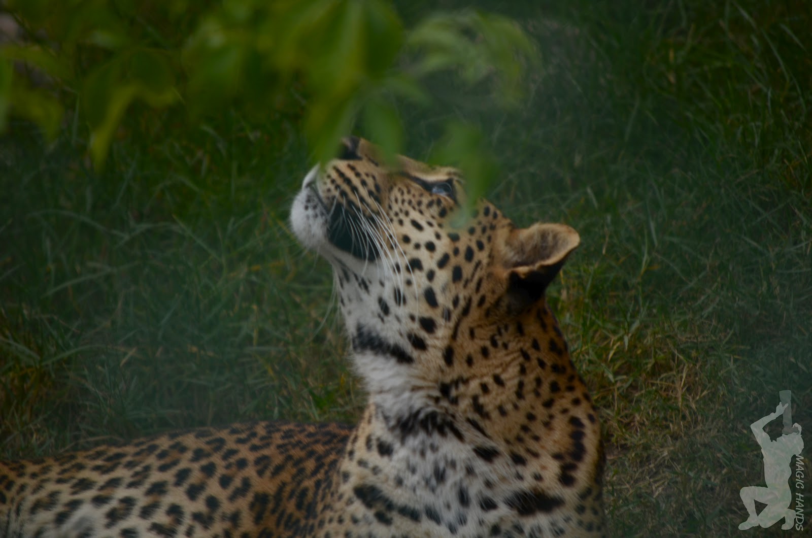 Photo Magic Hands: Places to visit in Kuwait