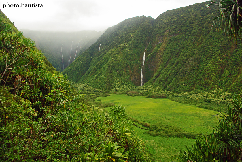 Island Trails: Waimanu - August 19-21 2011