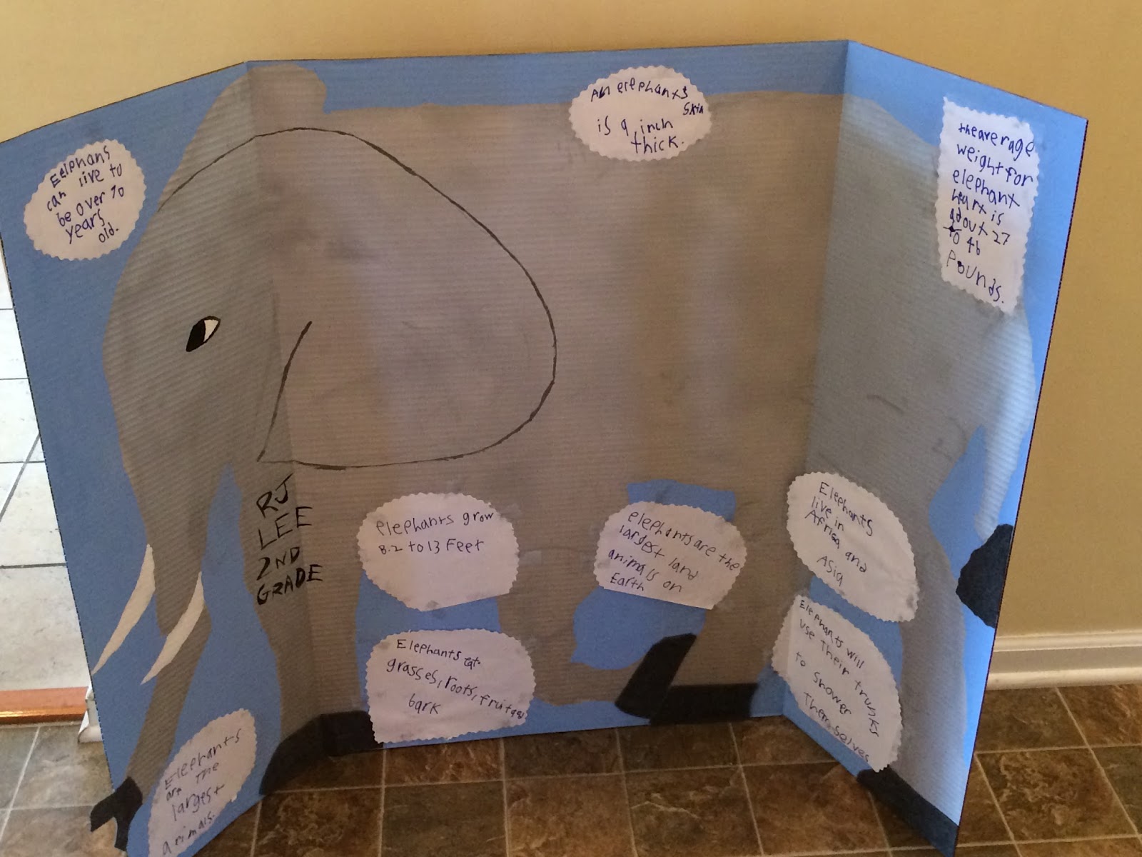 Busy Lee Family: Project Fair!