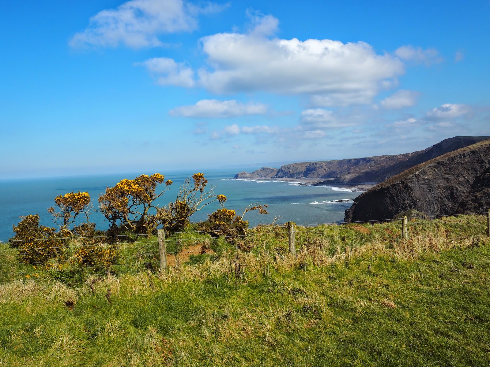 Travel - A Spring Weekend in Cornwall - Roses and Rolltops