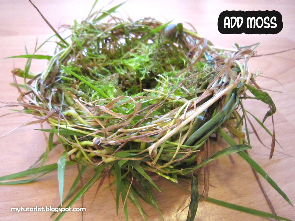 How to Make a Bird's Nest : Behind Mytutorlist.com