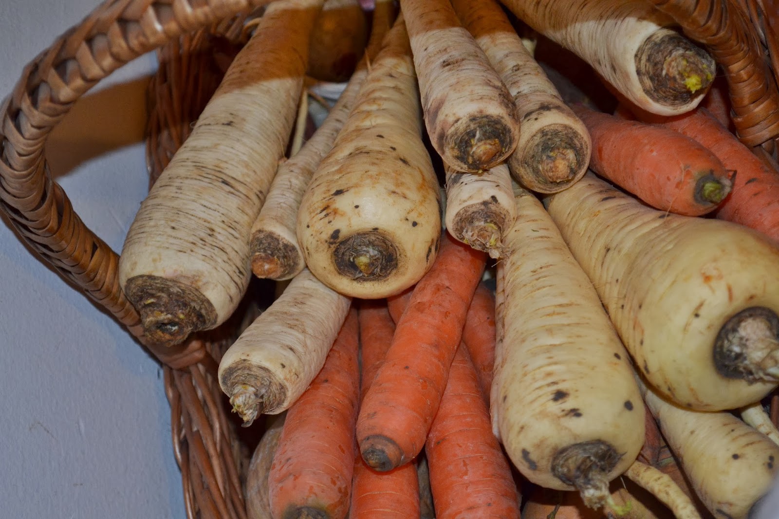 cele patru anotimpuri: Păstârnac