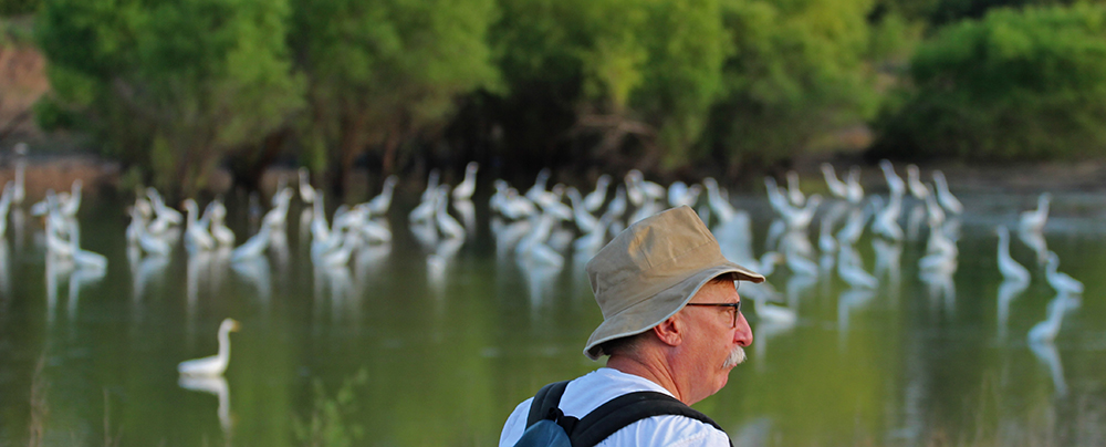 Dallas Trinity Trails: Great Trinity Forest Wading Birds
