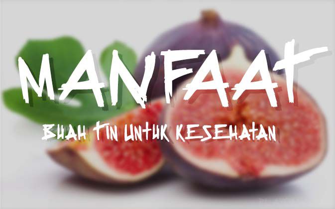 Sederet Manfaat Buah Tin Bagi Kesehatan And Kecantikan Pantas Saja Disebut Buah Surga