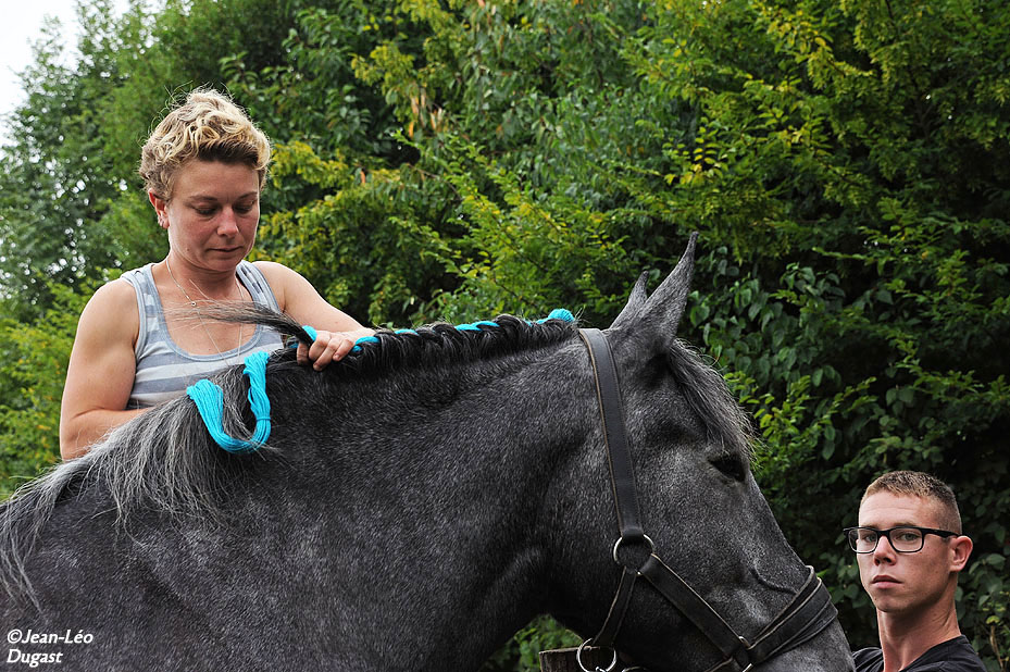 Percheron International: Le Percheron Au Naturel