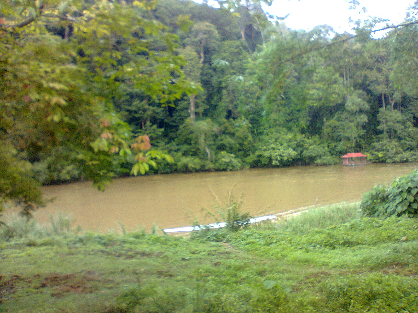 akustatik: explore the nature to TAMAN NEGARA Pahang