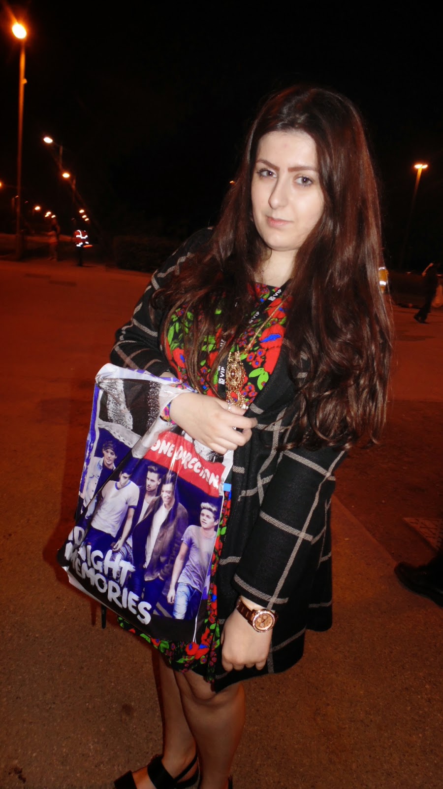 ONE DIRECTION - WHERE WE ARE CONCERT - MANCHESTER | The Perks Of Mollie ...