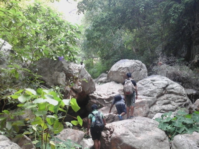 Tada Falls: Ultimate Trekking Destination | Tamil Nadu | Know Your ...