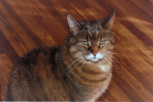 William of Mass Destruction: Remember Me Thursday.