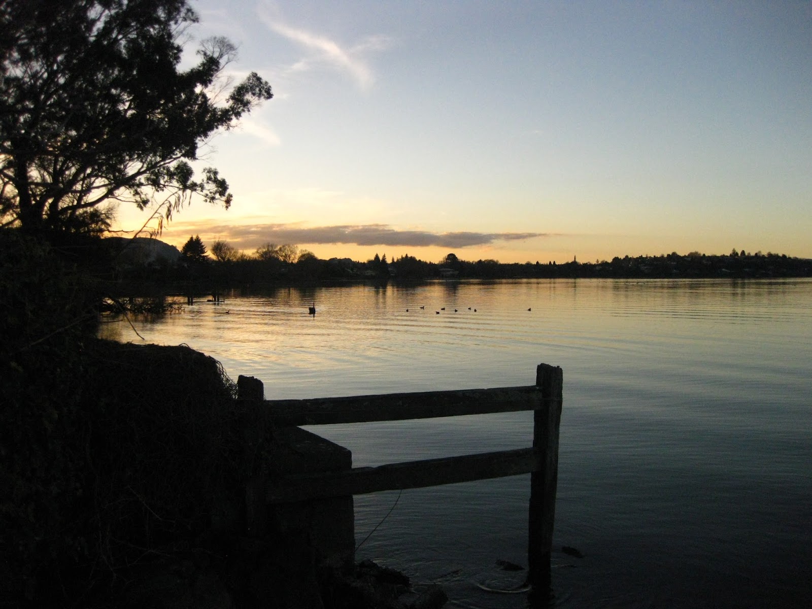 Seriously considering: sunrise and sunset over Lake Rotorua