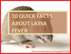human anatomy: 10 QUICK FACTS ABOUT LASSA FEVER + [INFOGRAPHIC]