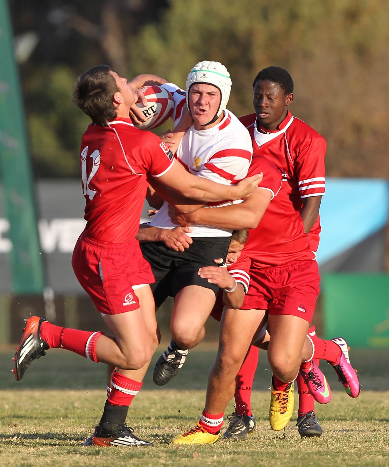 Intune Communications and Entertainment: THE GOLDEN LIONS AND BLUE ...