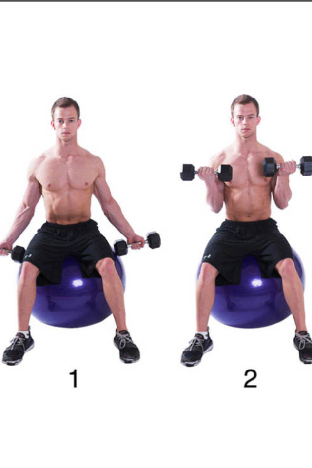 musculation: Bras exercice n: 38