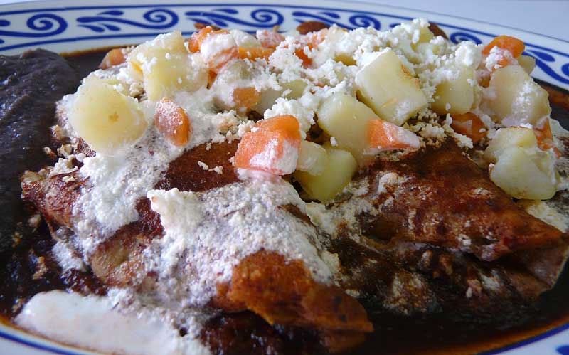 Recetas fáciles y deliciosas: Enchiladas potosinas