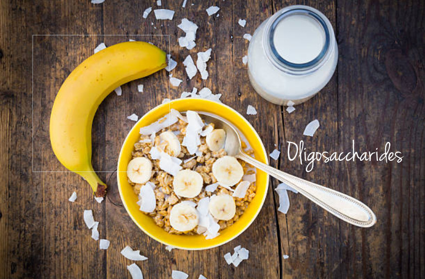 【Fit a little bit】腸道暢遊 找對"Suger" - 寡糖 Oligosaccharides