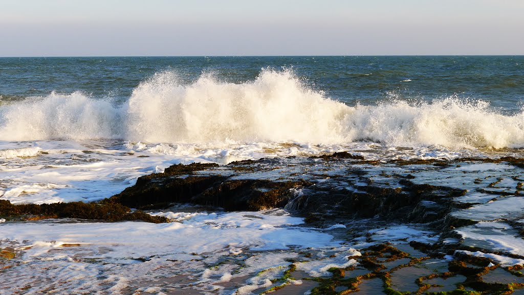 Tamilnadu Tourism: Manappad Beach, Thoothukudi