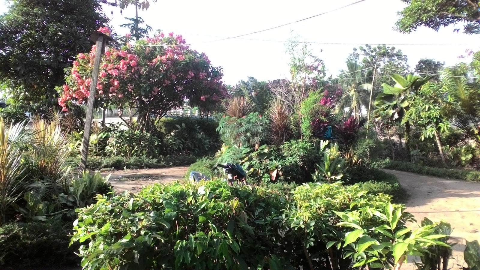 Taman PKK SK 16 Rantau Rasau ll - PINTU BELAJAR CERDAS (PBC)