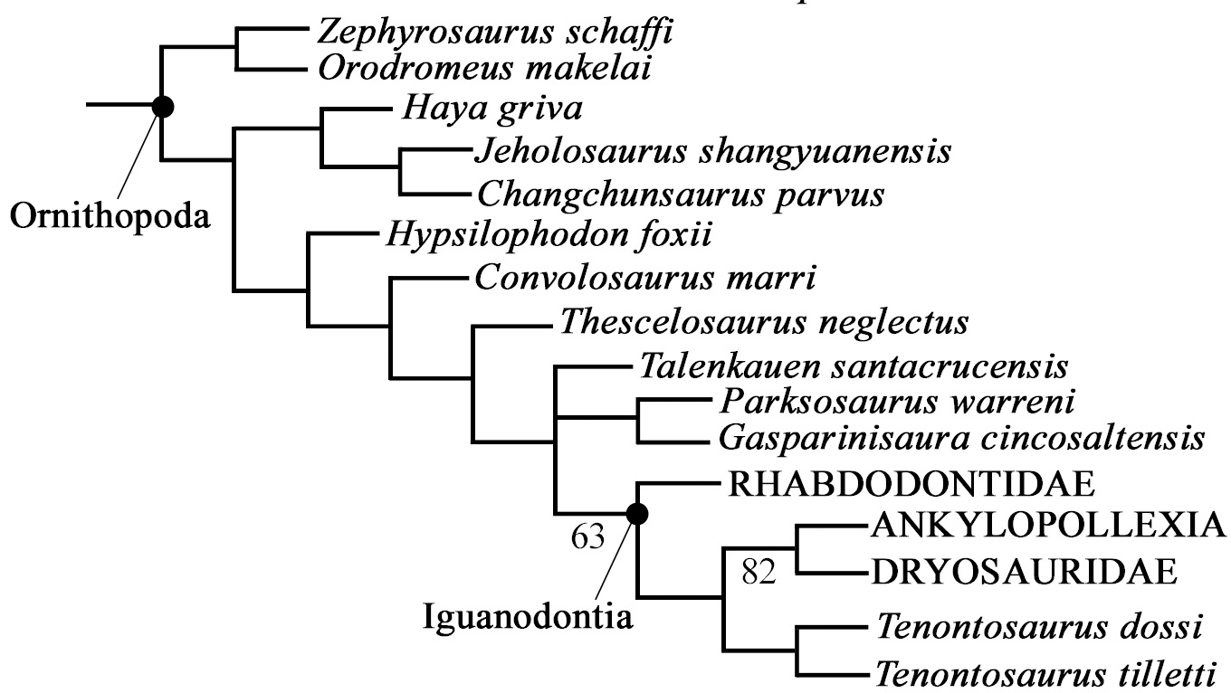 Species New to Science: [Paleontology • 2019] Convolosaurus marri • A ...