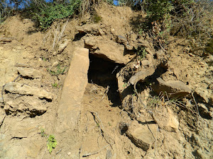 MUNDO DE LA PREHISTORIA: EL SENTIDO DE LOS SIGNOS TECTIFORMES.