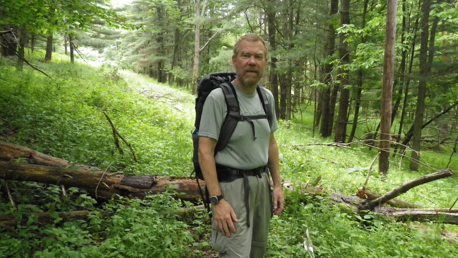 Dave'n'Kathy's Vagabond Blog: May 2012