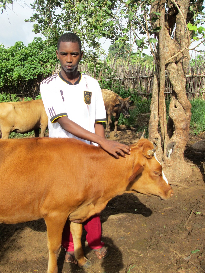 Andrew in Senegal: Bubakar and his cow