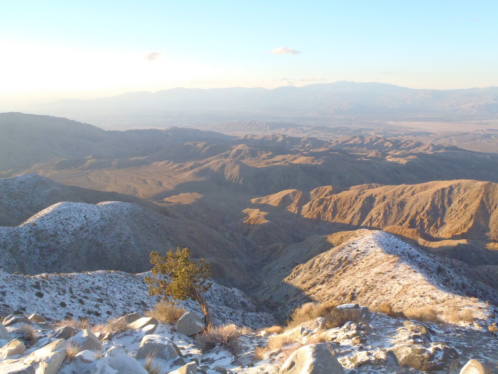 Joshua Tree National Park - Things to Do | Trails of Arkansas (& now ...