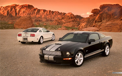 Car Beautiful: Ford Mustang