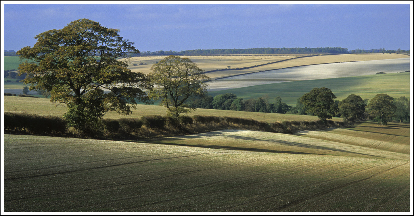 Lincolnshire Cam: Lincolnshire Scenes & Views.