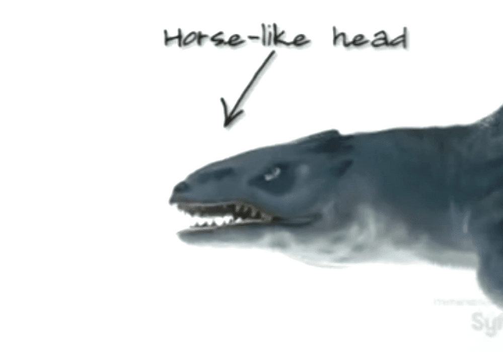 Lake Van Monster - Van Lake