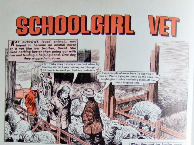 Curious Objects: Judy for Girls